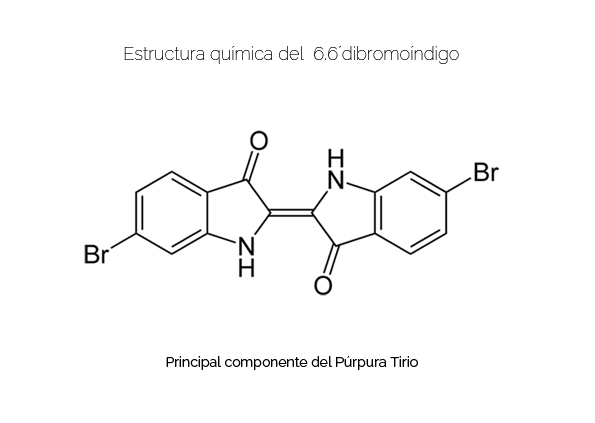 Púrpura Tiria. Historia de los Tintes. Parte III - Mundo Lanar