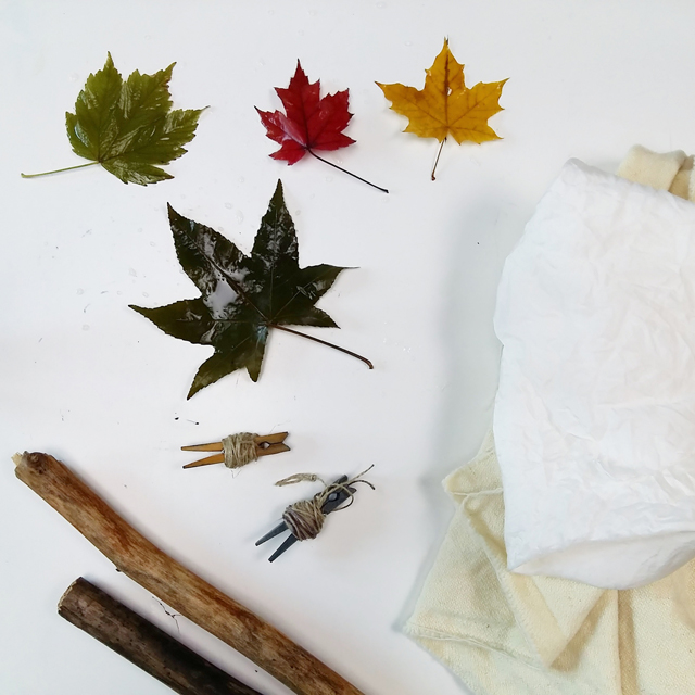 Ecoprint: Diseño Textil con Técnicas de Estampación Botánica - Mundo Lanar