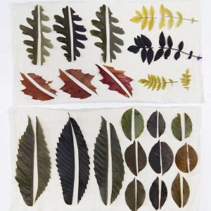 Ecoprint: Diseño Textil con Técnicas de Estampación Botánica - Mundo Lanar