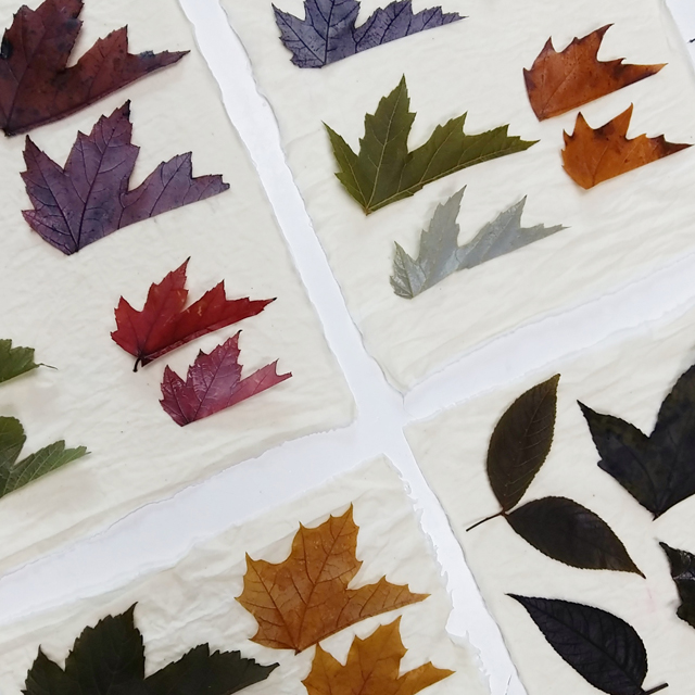 Ecoprint: Diseño Textil con Técnicas de Estampación Botánica - Mundo Lanar
