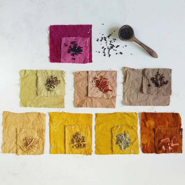 Cursos de Fibras & Tintes Naturales en The Dyer's House - Mundo Lanar